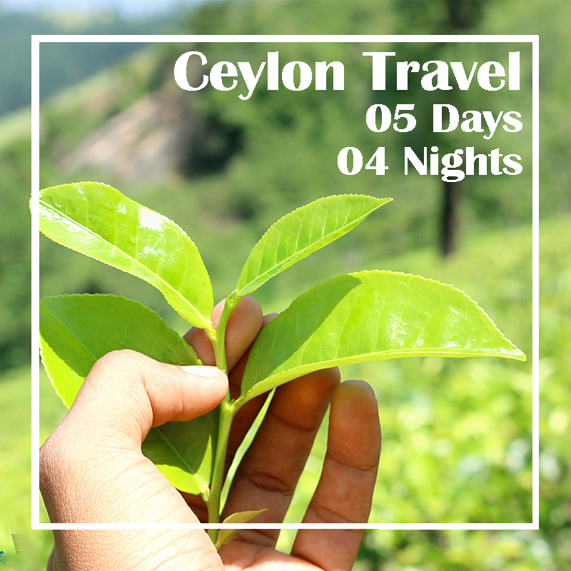 Taste Of Sri Lanka 12Days / 11Nights - Ceylon Silk Route
